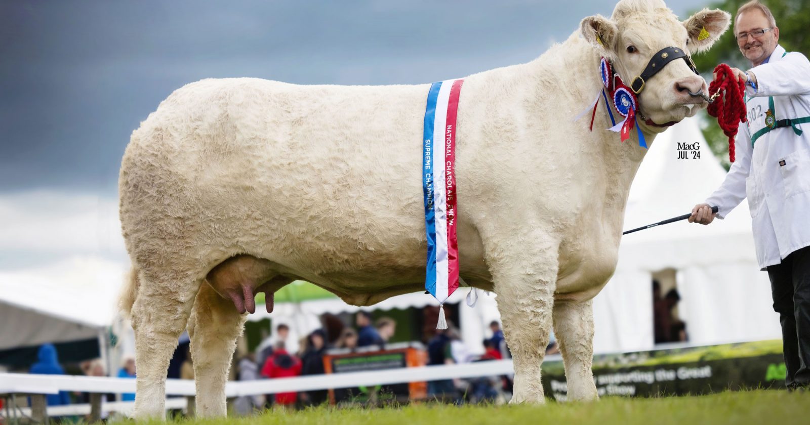 Great Yorkshire Show 2024 – The British Charolais Cattle Society